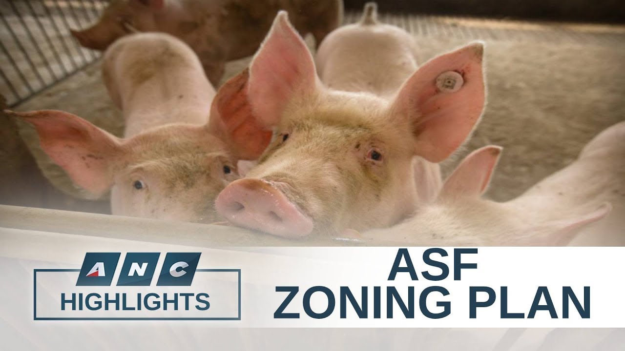 Duterte orders gov't agencies, LGUs to comply with ASF zoning plan ...