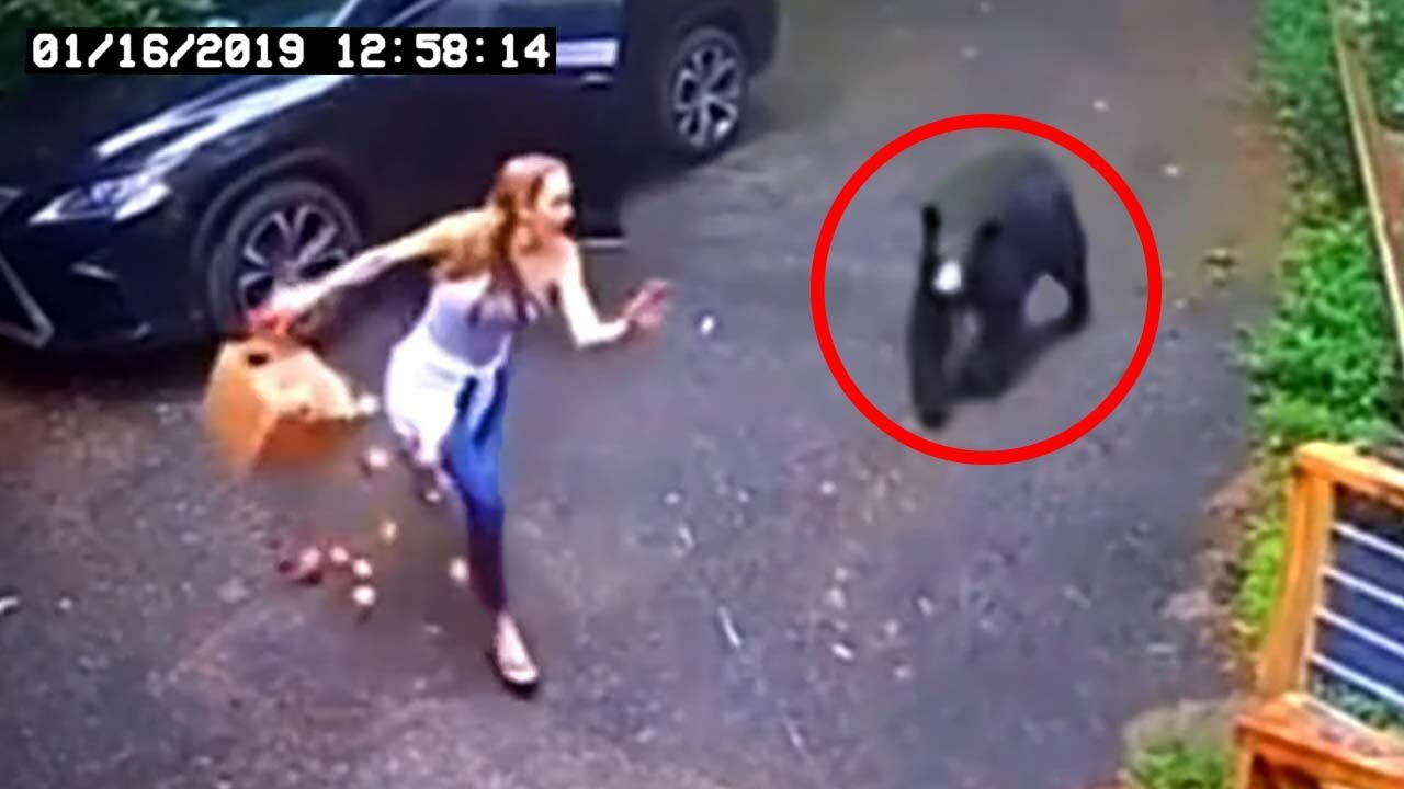12 Scariest Bear Encounters Caught On Security Camera Youtube