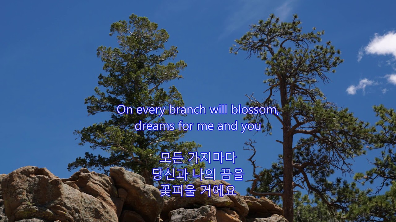 Evergreen Tree - Cliff Richard: Rocky Mountain National Park - YouTube