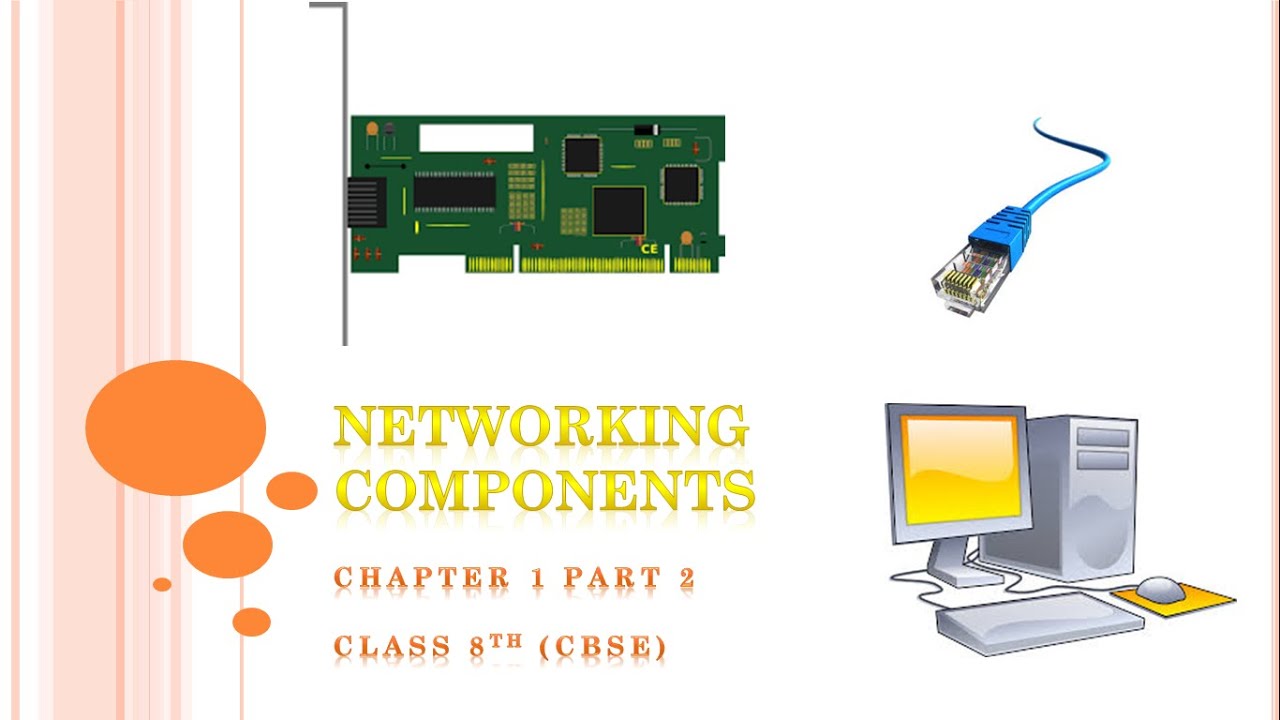 Networking Cards & Cables (CBSE Class 8th) - YouTube