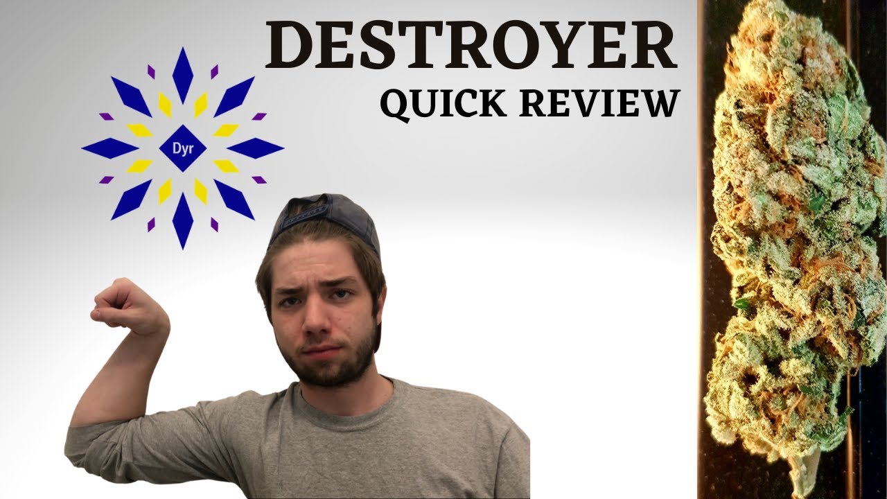 DESTROYER! TRY THIS HOLY SATIVA! HIGH THC NO ANXIETY ! GREAT MEDICAL ...