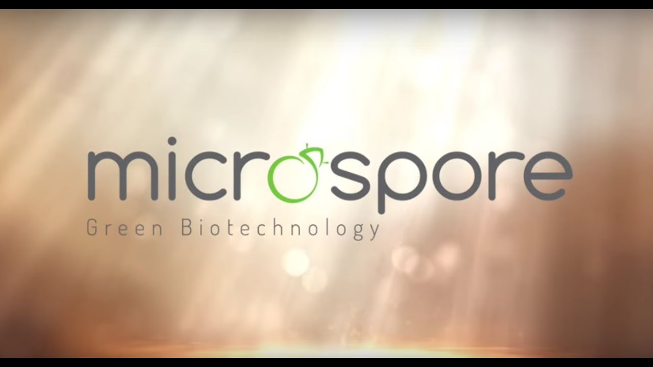Microspore, what we do - YouTube