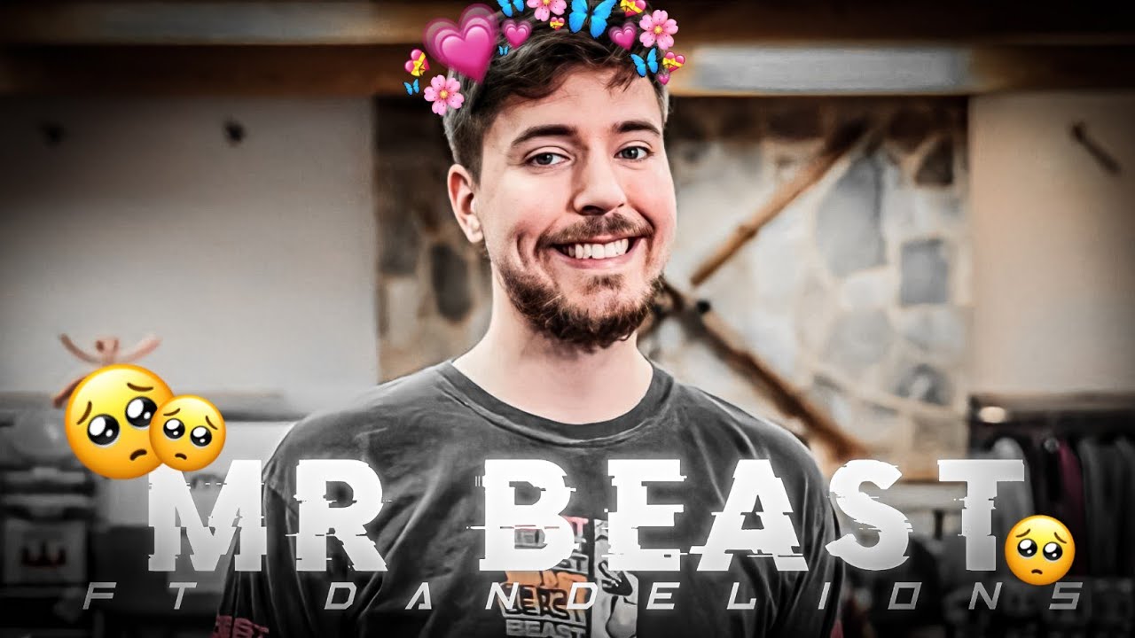 MR BEAST F.T DANDELIONS || MR BEAST STATUS || YOUTUBERS EDIT || AMIT ...