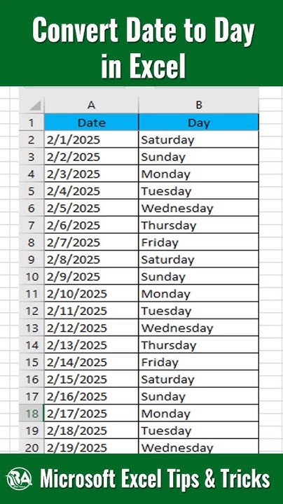 MS Excel - Convert Date to Day ll How to Convert Date to Day in Microsoft Excel ll Bivash ...
