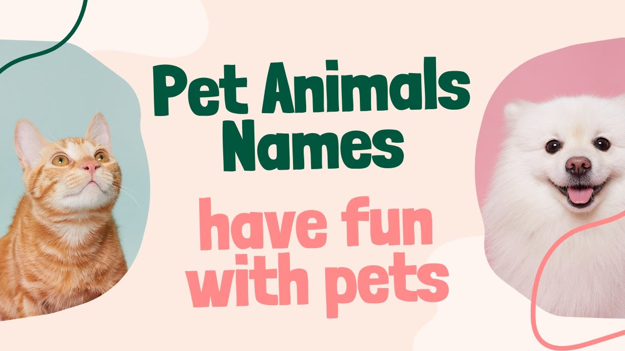 Pet Animals Names and Voice | Learning of Cute Home animals name ...