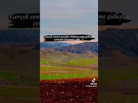 bu şarkı nasıl yükleye bilirim