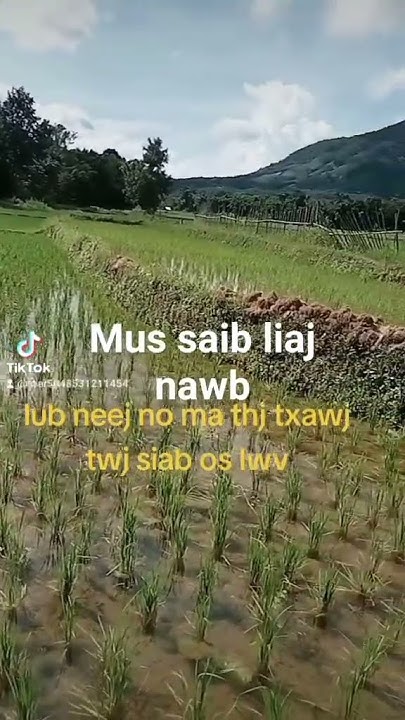 mus saib liaj nawb ib tsoom phooj ywg - YouTube