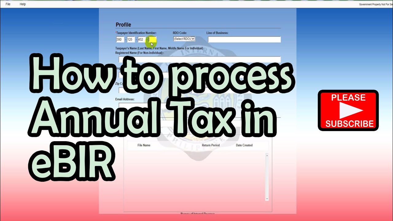 eBIR (Annual Tax Return) tutorial - YouTube