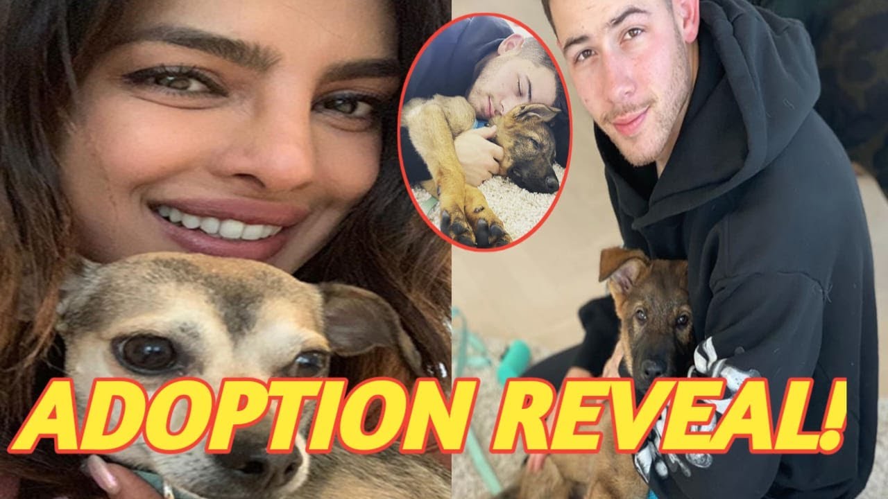 Nick Jonas and Priyanka Chopra’s Heartwarming New Addition. - YouTube
