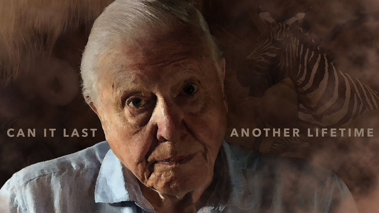 Planet Earth | Storytelling in Nature Documentaries (Video Essay) - YouTube