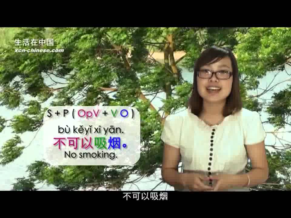 Grammar 19: Sentences with the optative verbs(1) 能愿动词谓语句（一） - YouTube