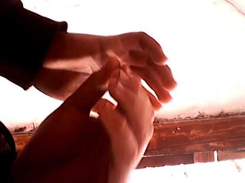 Toshkentga atvet pok pok