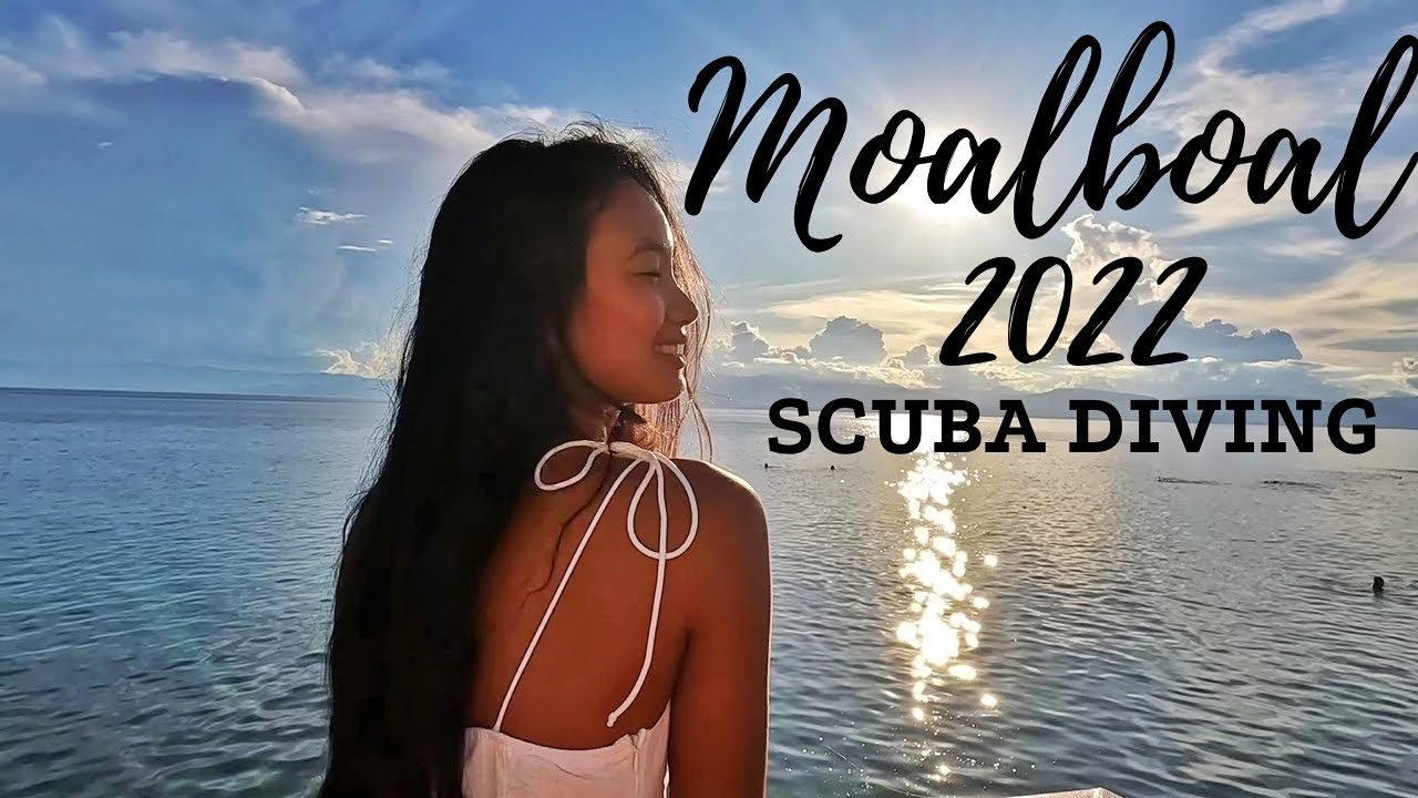 Everything you need to know in Moalboal Scuba diving 2022 |Requirements ...