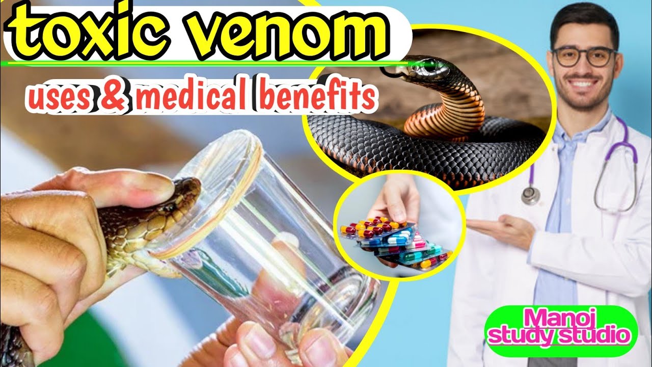 |Toxic Venom |Uses & Medical Benefits in Telugu|types of medicines ...