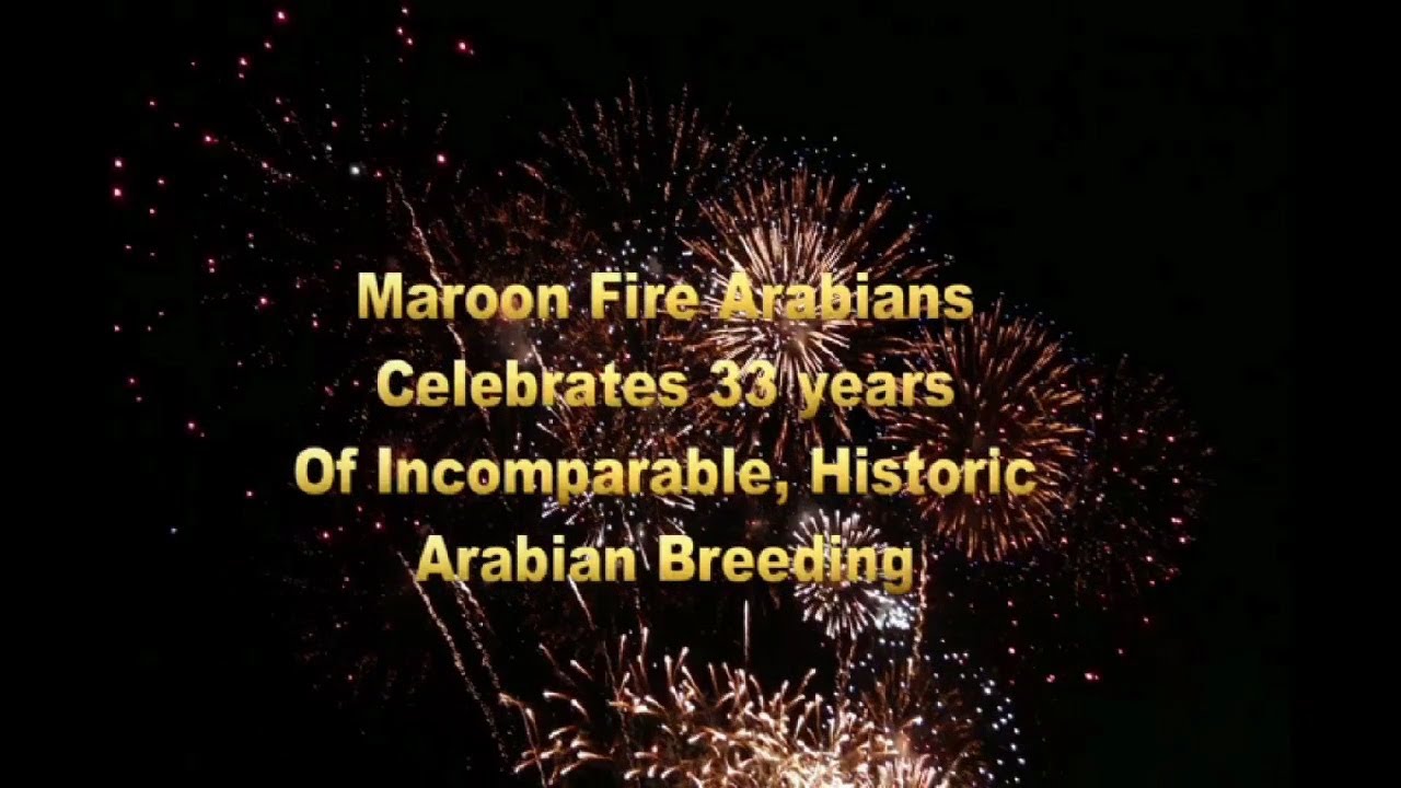 STALLIONS OF MAROON FIRE ARABIANS - YouTube