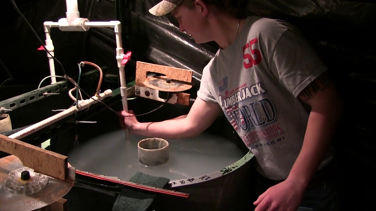 An Overview of the Intensive Larval Walleye Rearing System - YouTube