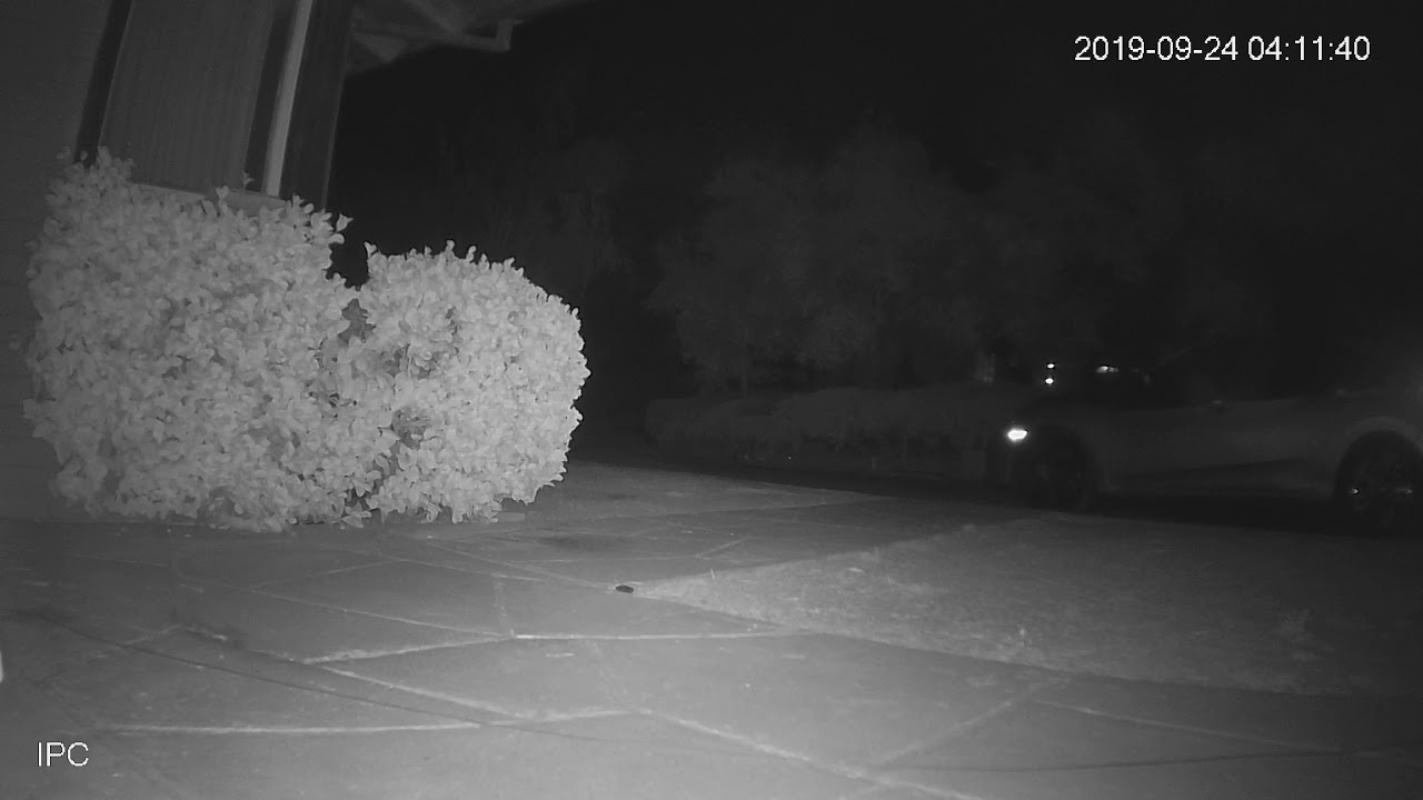 2019 09 24 04 11 27 M Driveway camera - YouTube