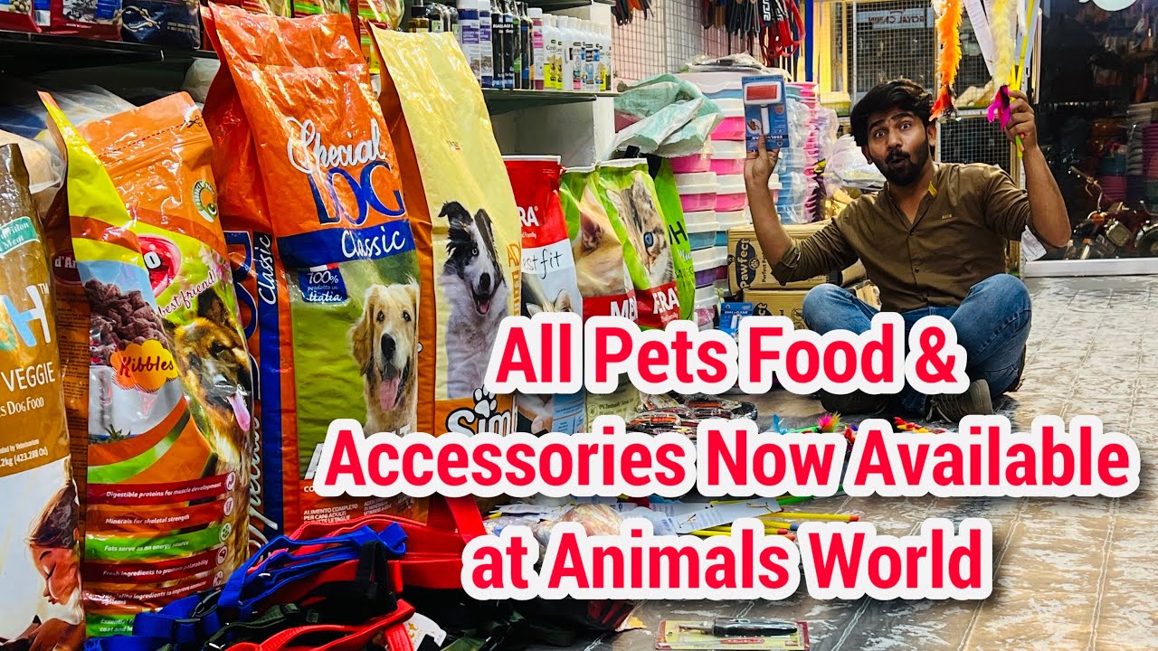 New Pets Stock Available | All Pets Food & Accessories Now Available at ...