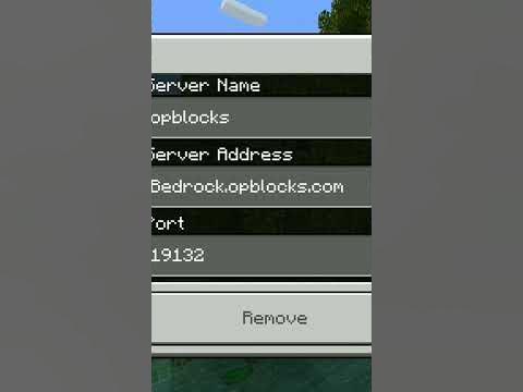 ip address and port of sb737 bedrock server#minecraft #minecraftshorts ...