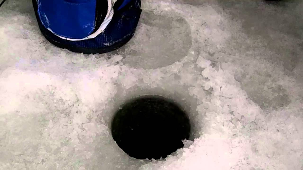 Mark Martin Catching Goliath Perch - YouTube