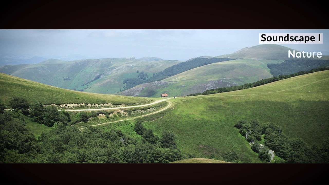 Nature park soundscape (Binaural) - YouTube