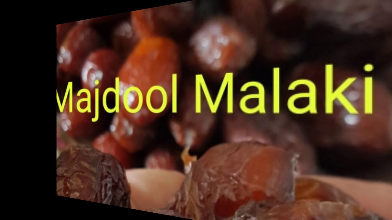 Baitul Al Shifa - YouTube