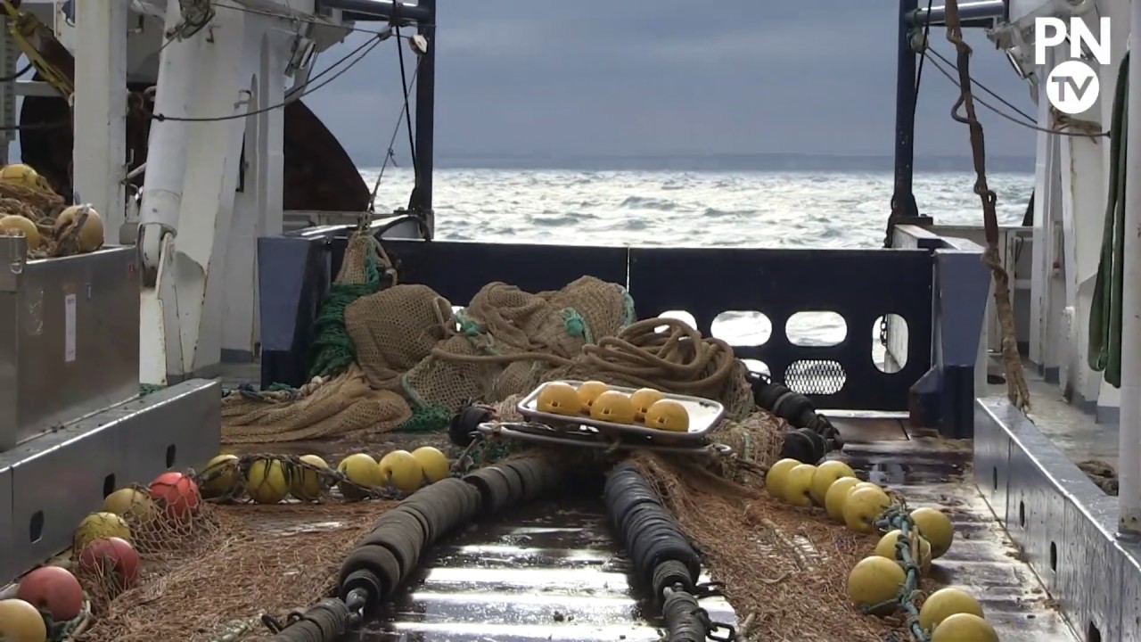 Présentation du navire océanographique de l'Ifremer, le Thalassa - YouTube