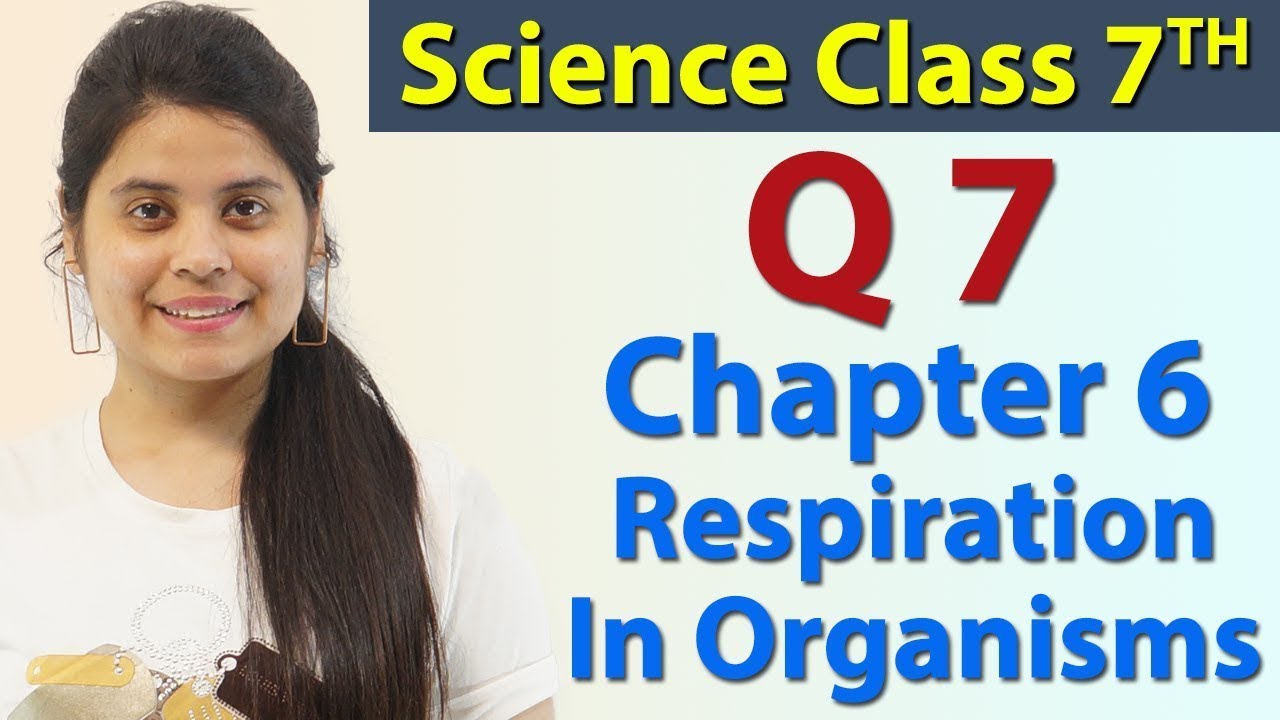 Q 7, Page No.68 - Chapter 6 - Respiration in Organisms - Science Class ...
