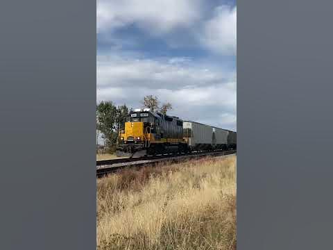 WAMX 3814 at the county line railroad siding with a bunch of Idaho Grain #shorts - YouTube