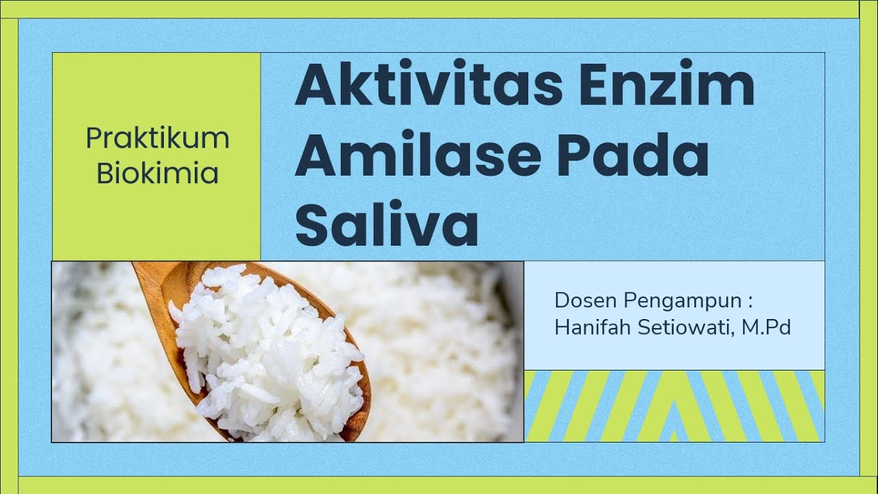 Aktivitas Enzim Amilase Pada Saliva | Praktikum Biokimia - YouTube