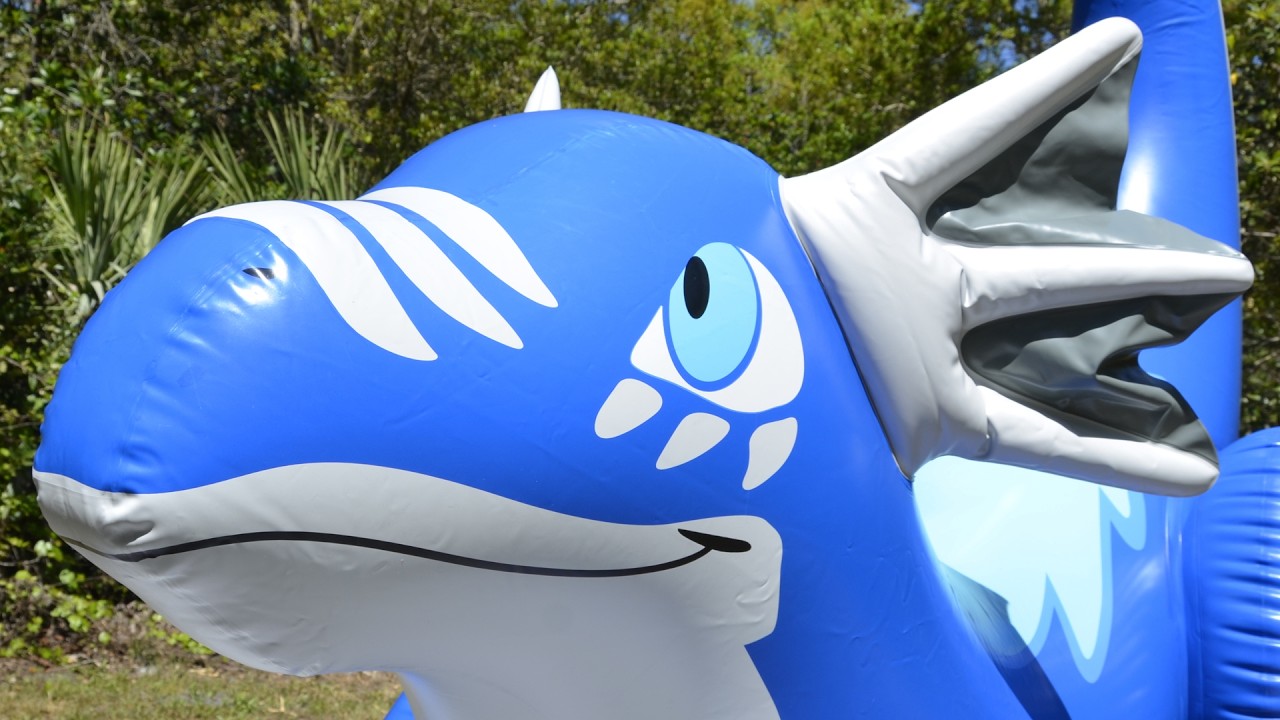 Blue Pouncing Dragon Ride-On Pool Toy - YouTube