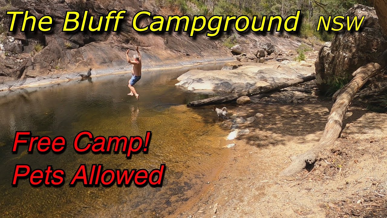 Bluff Campground NSW - Free Camp - Dog Friendly - YouTube