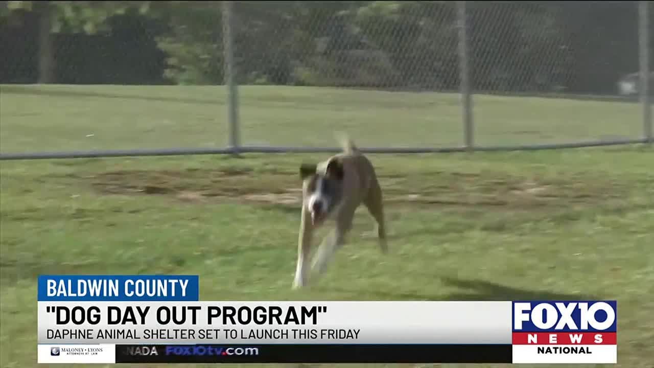 Daphne Animal Shelter launching initiative to improve mental health of ...