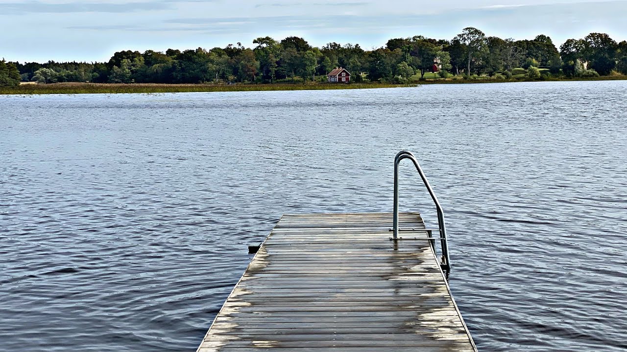 Walk in Lake Gullspång, Sweden | Find Peace in Nature | Nature With ...