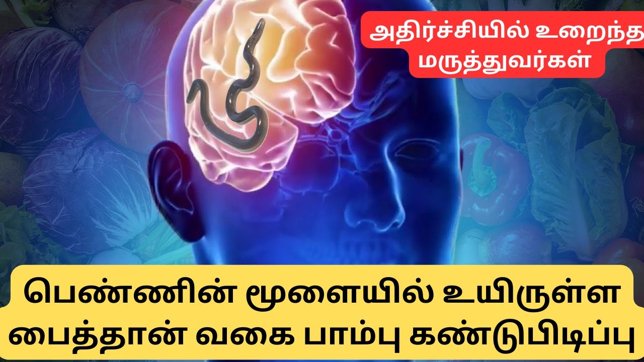 Alive😱Snake found in brain |I took my tweezers and I pulled it out ...