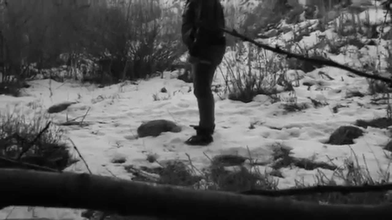 Decimation (short film) - YouTube