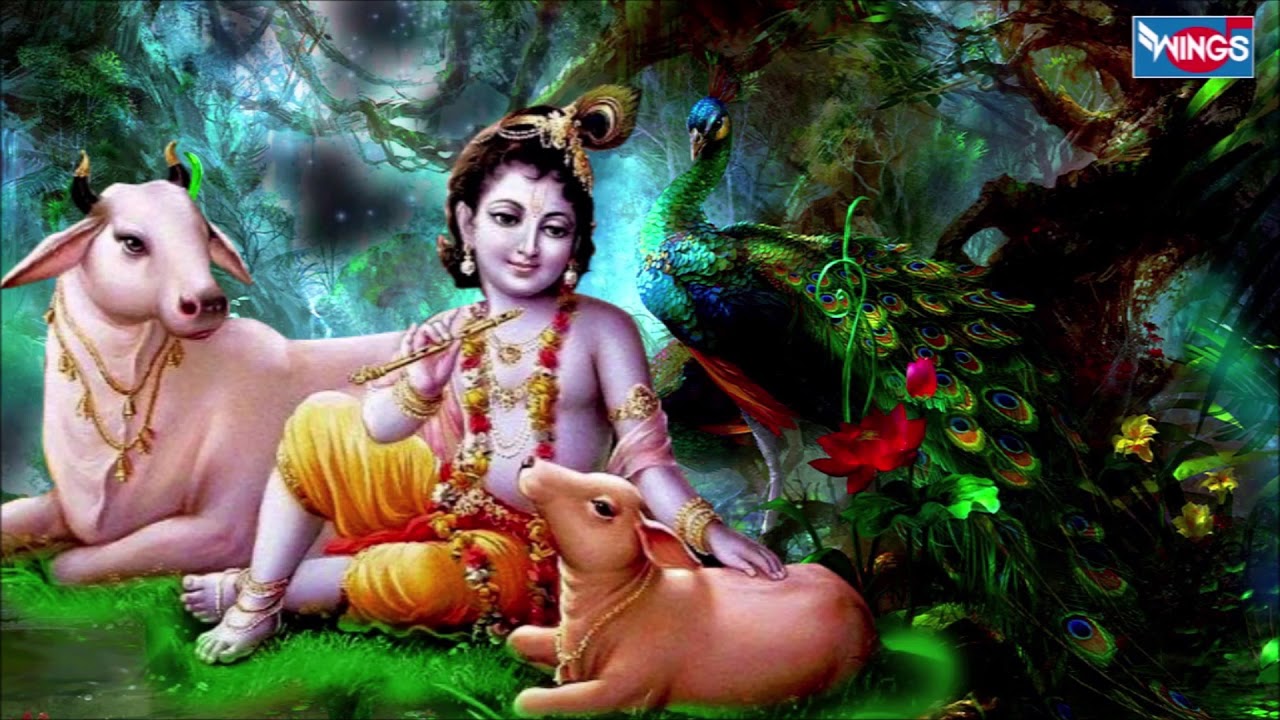 7. [Oriya] Advent of Lord Krishna- Lecture on Sri Krishna Janmashtami ...