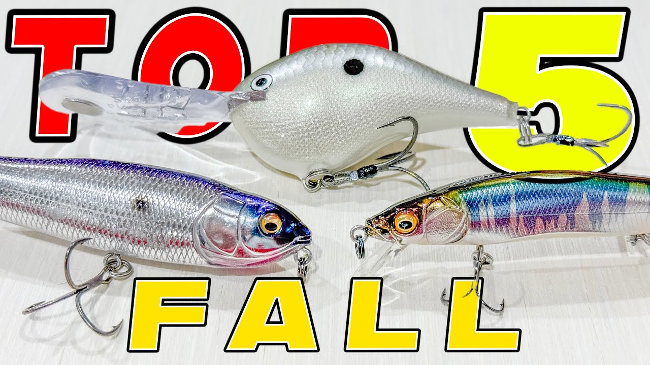 Top 5 Baits For Fall Bass Fishing! - YouTube