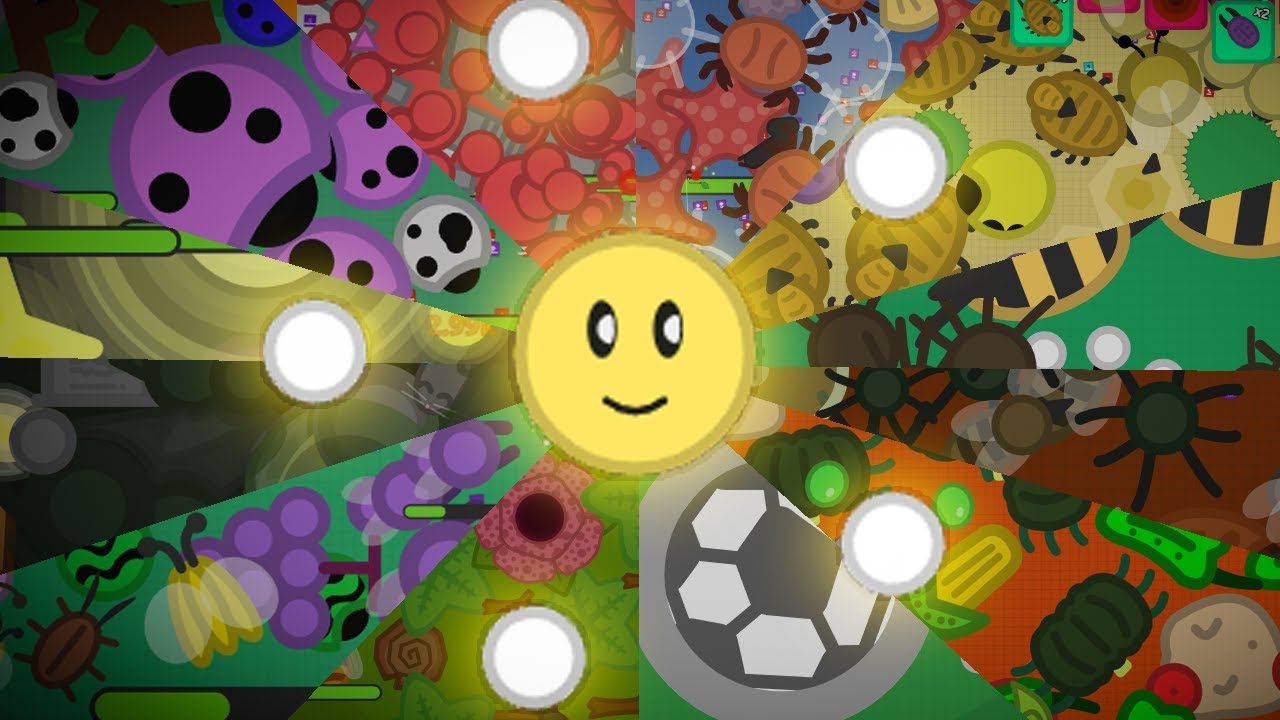 Flowr.fun Official Trailer - YouTube