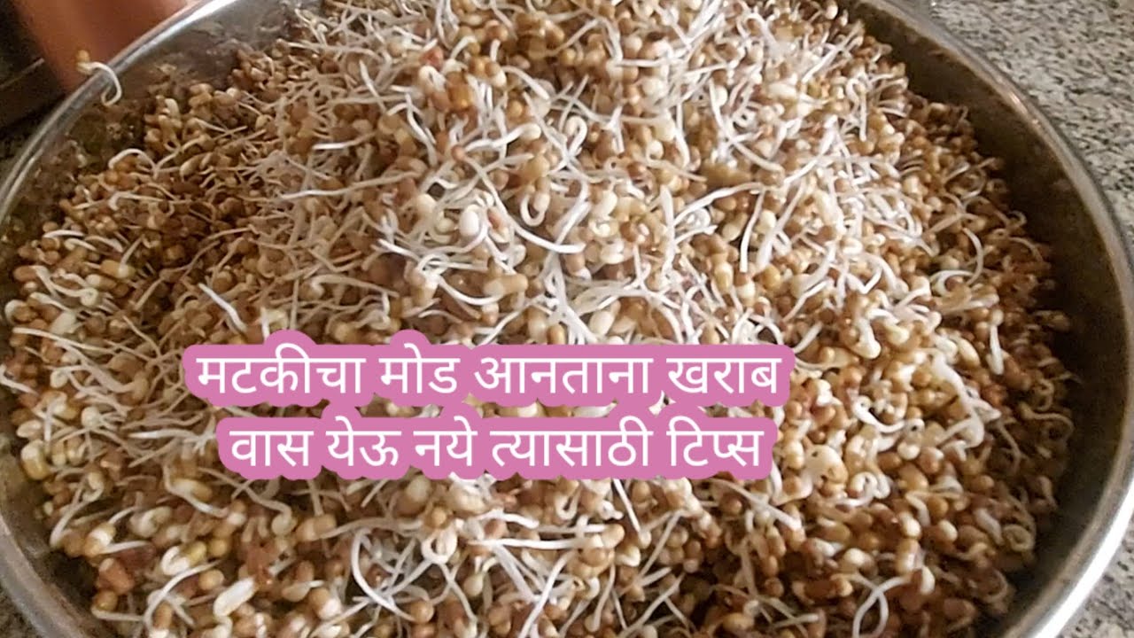 # How to sprout moth beans easily # मटकीचा मोड आनताना खराब वास येऊ नये ...