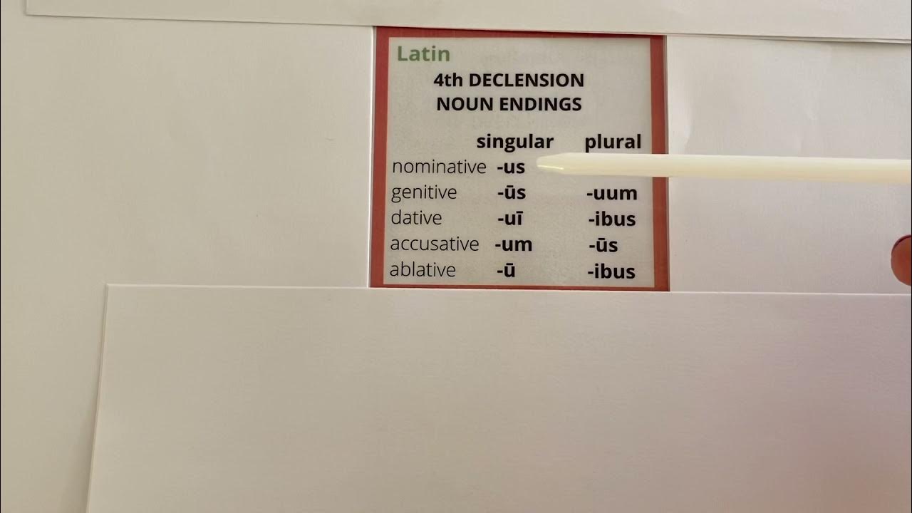 CC CYCLE 1 WEEK 9 LATIN. 4th declension noun endings. - YouTube
