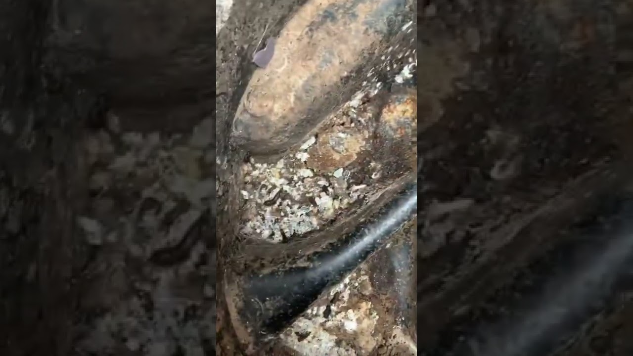 Fresh rat droppings in drain inspection chamber 🐀 - YouTube