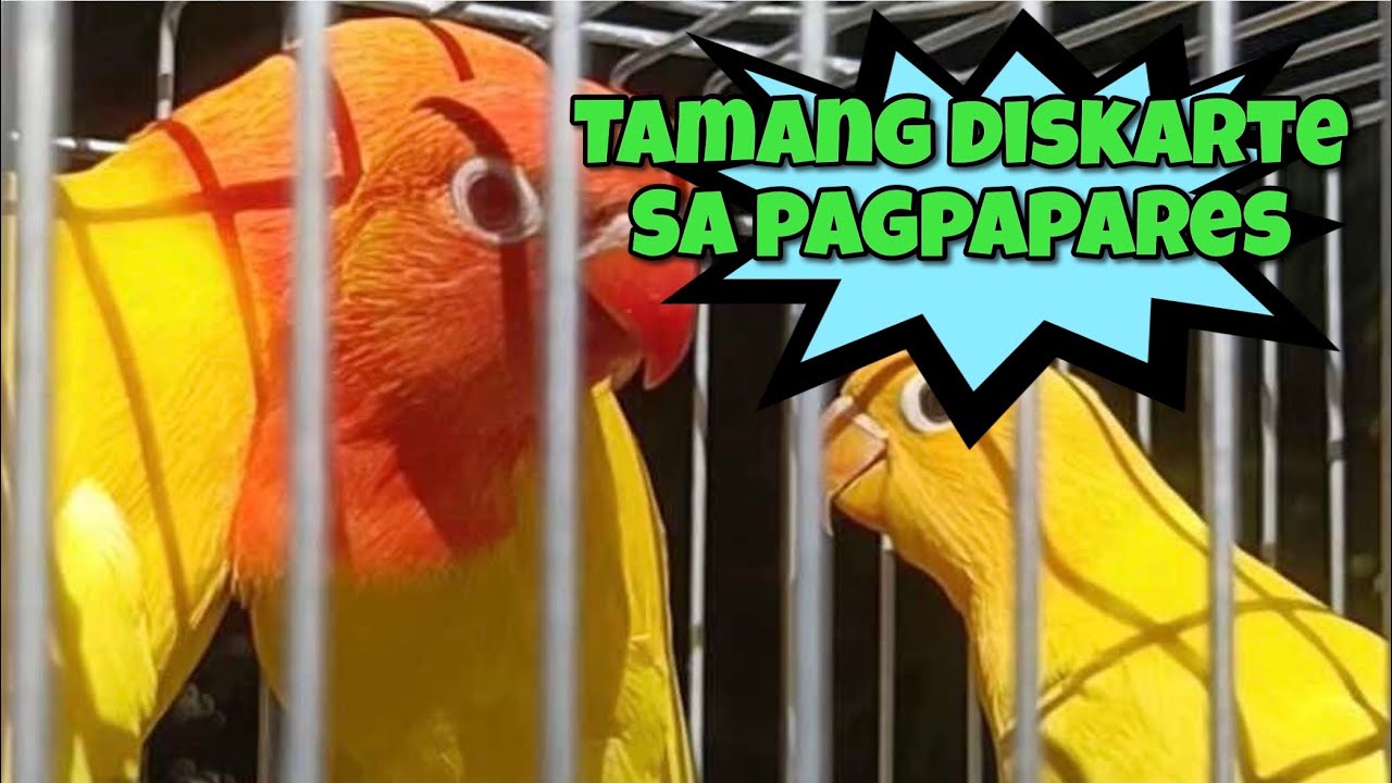 Sikreto Sa Successful Na Pagpapares - YouTube