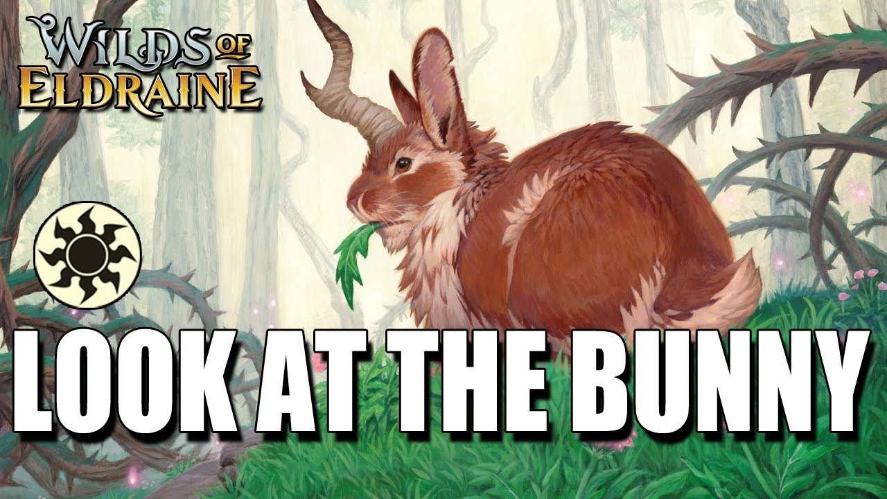 I Made a Mono White Tokens Deck in WOE Standard // Magic: the Gathering ...