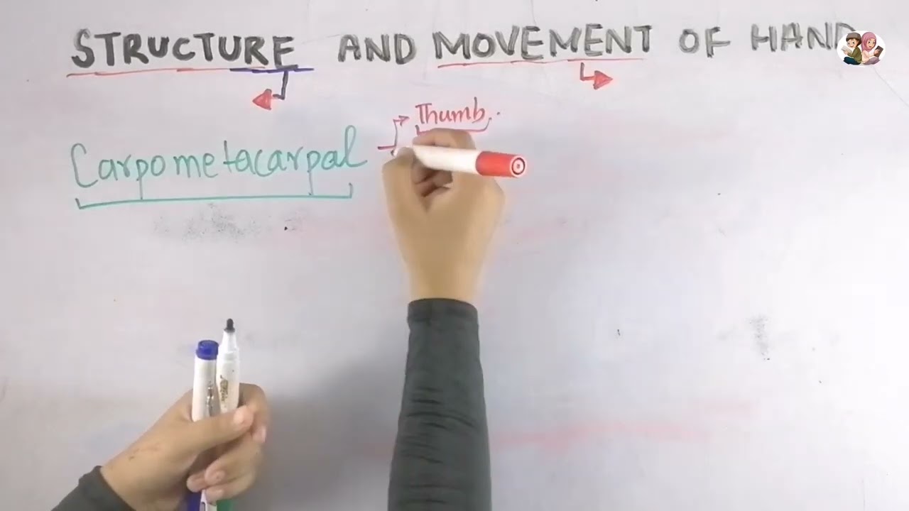 Structure and movements of hand | Biomechanics in Urdu/ Hindi - YouTube