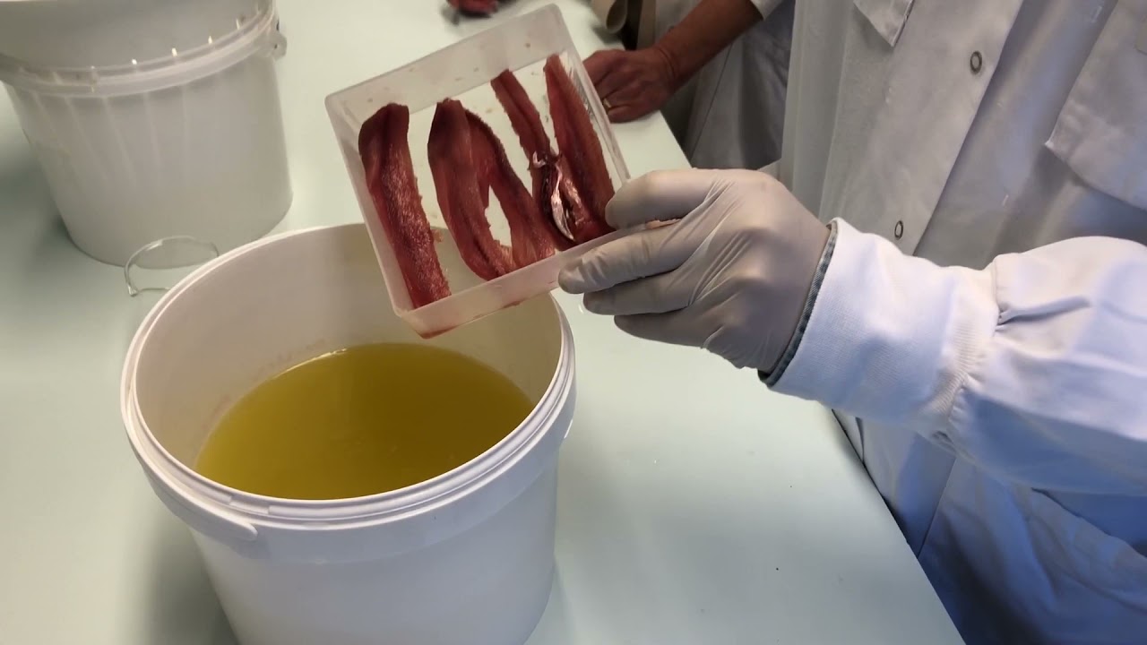 How does the new dipping technology work? - YouTube