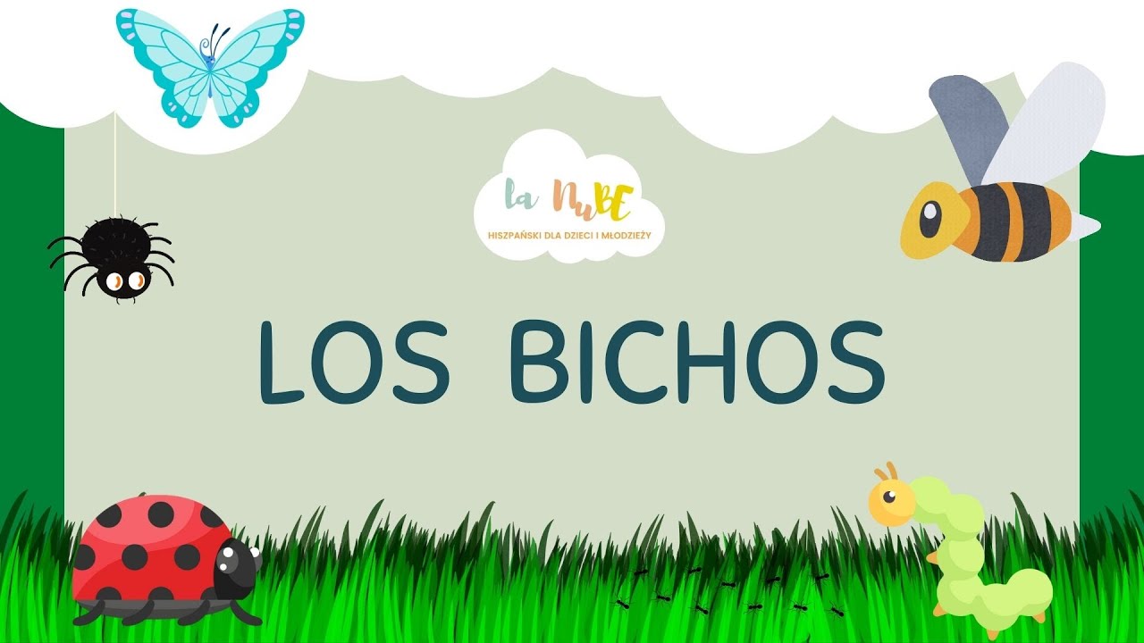 LOS BICHOS || Vocabulario de Los bichos || Hiszpański dla dzieci LA ...