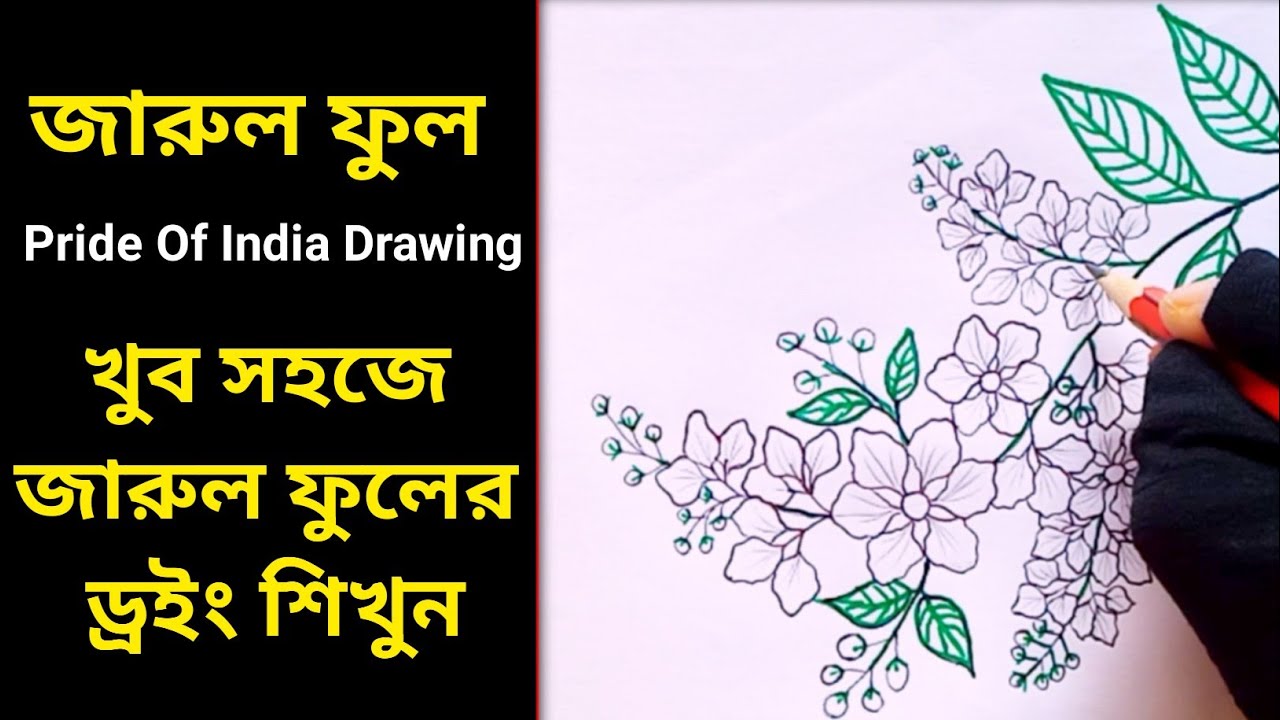 জারুল ফুল ড্রইং | Jarul Ful Drawing | Easy Flower Drawing Step By Step ...