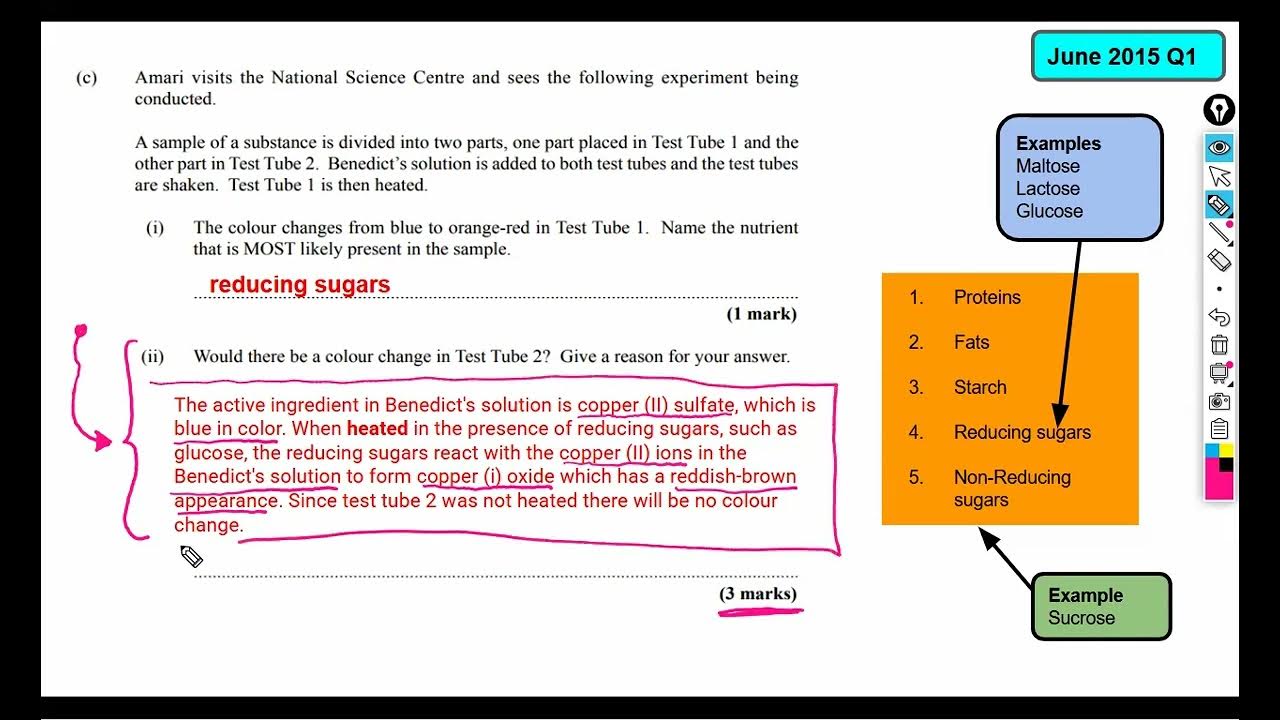 CSEC HSB June 2015 Past Paper Part 1 - YouTube