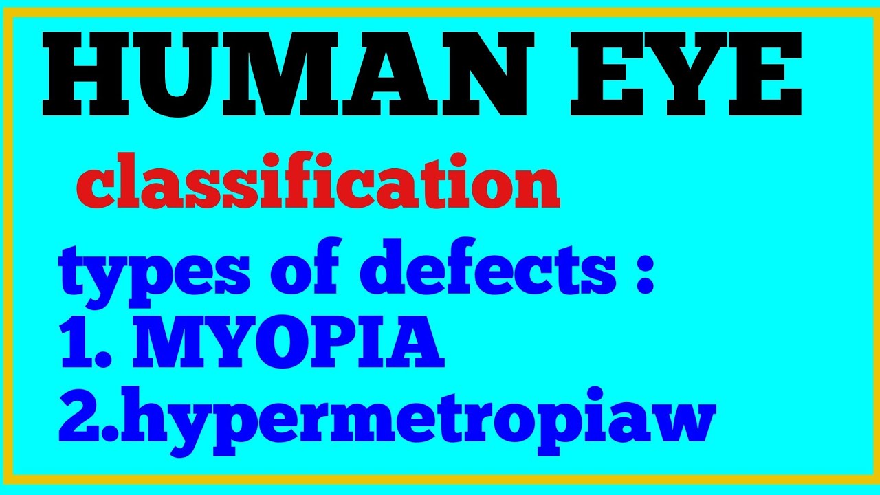 Human eyes | Defects and corrected lens| myopia and hypermetropia - YouTube